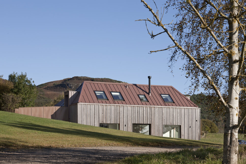 WORK - Ann Nisbet Studio